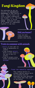 The Fungi Kingdom – Introductory Biology: Ecology, Evolution, and ...