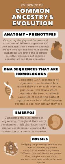 Evidence of Evolution – Introductory Biology: Ecology, Evolution, and ...