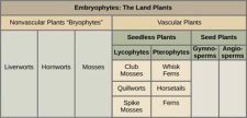 Plant Kingdom – Introductory Biology: Ecology, Evolution, and Biodiversity