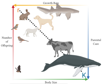 Chapter 2: Life History Strategies – Applied Ecology