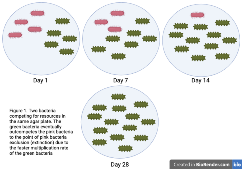 Chapter 6: Competition – Applied Ecology